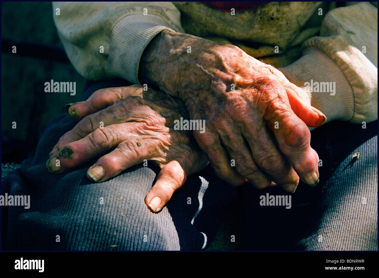 An old persons hands Stock Photo - Alamy