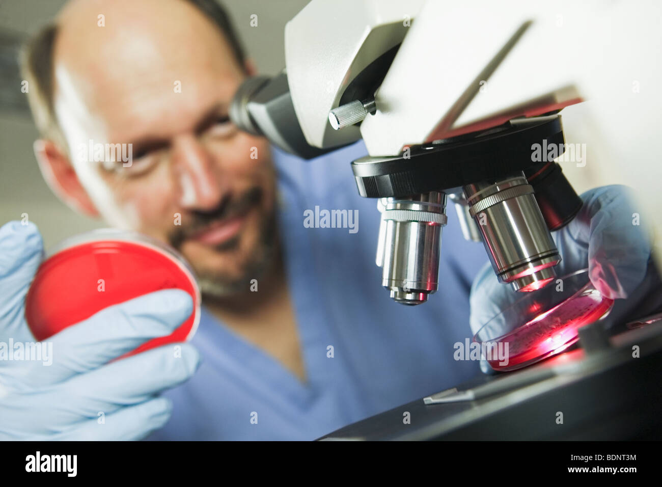 Bacteria on finger microscope hi-res stock photography and images - Alamy