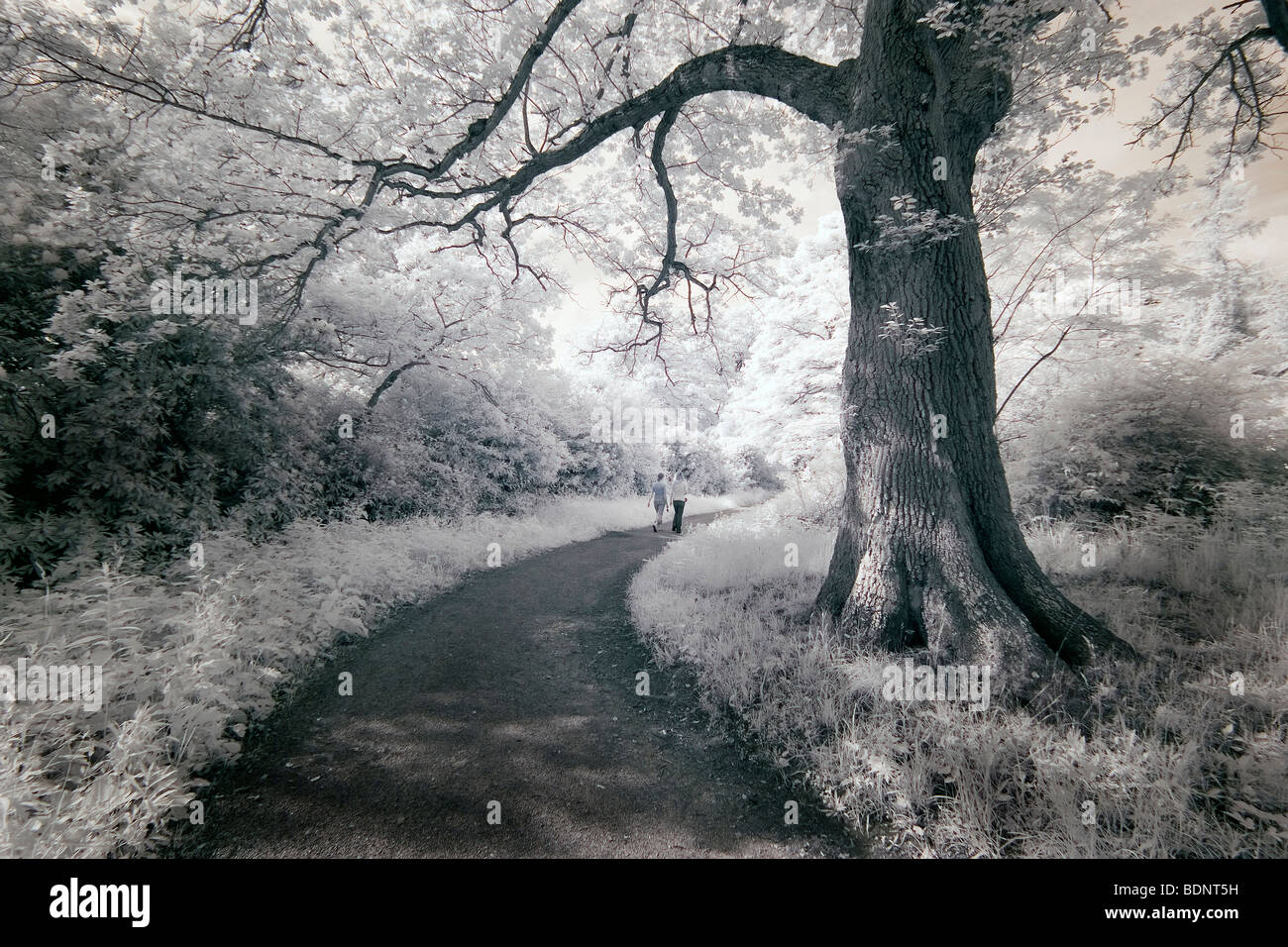 Beside a path hi-res stock photography and images - Alamy