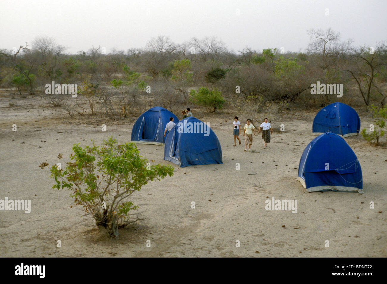mali, tonga, daily life Stock Photo - Alamy