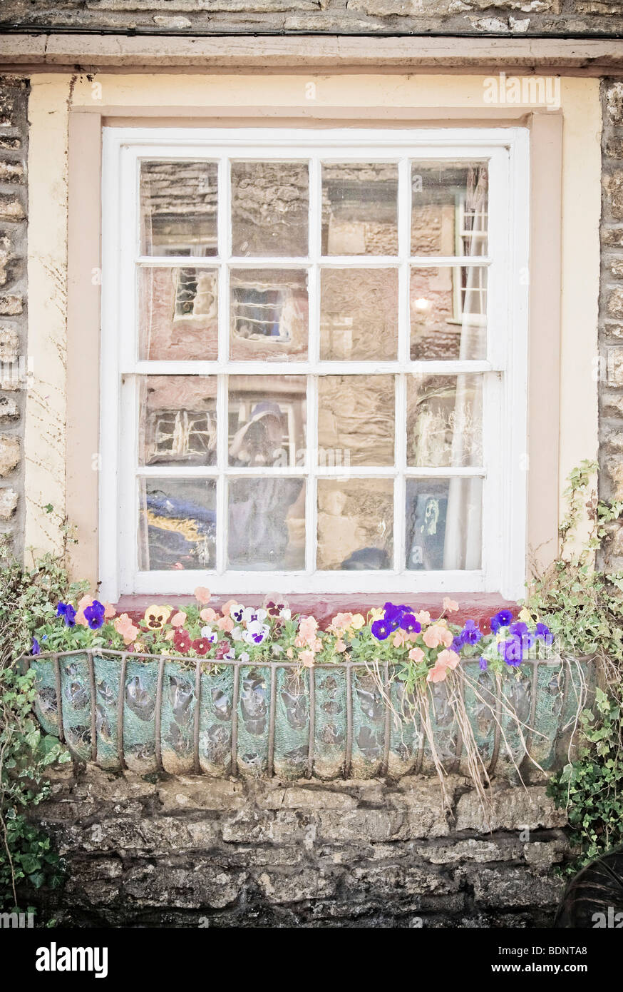 A window with flowers Stock Photo - Alamy
