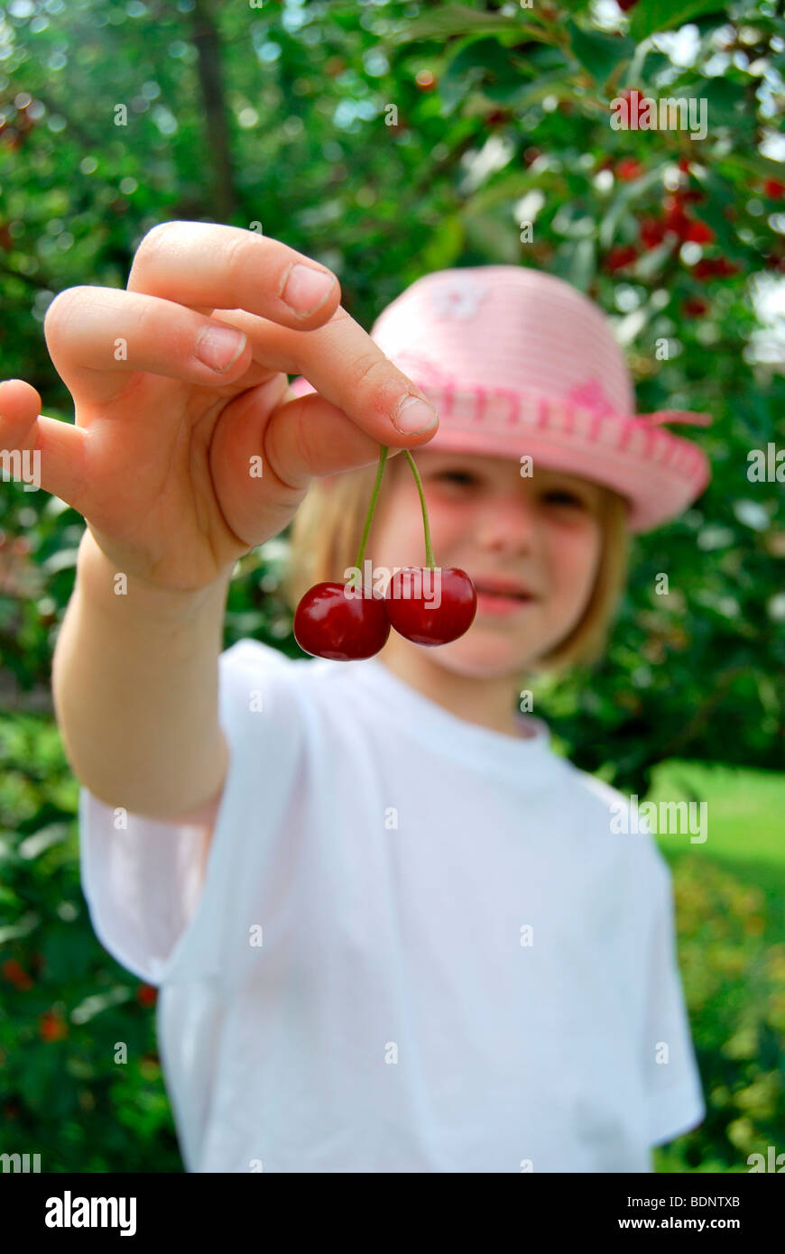 Freshly picked, blond girl with summer hat, 5 years, holding up two ...