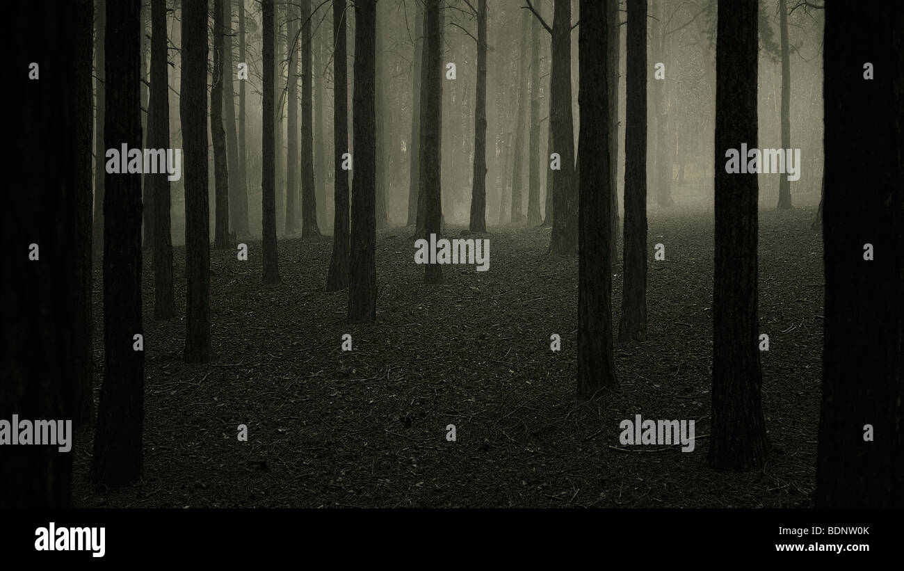 Horsell Common High Resolution Stock Photography and Images - Alamy