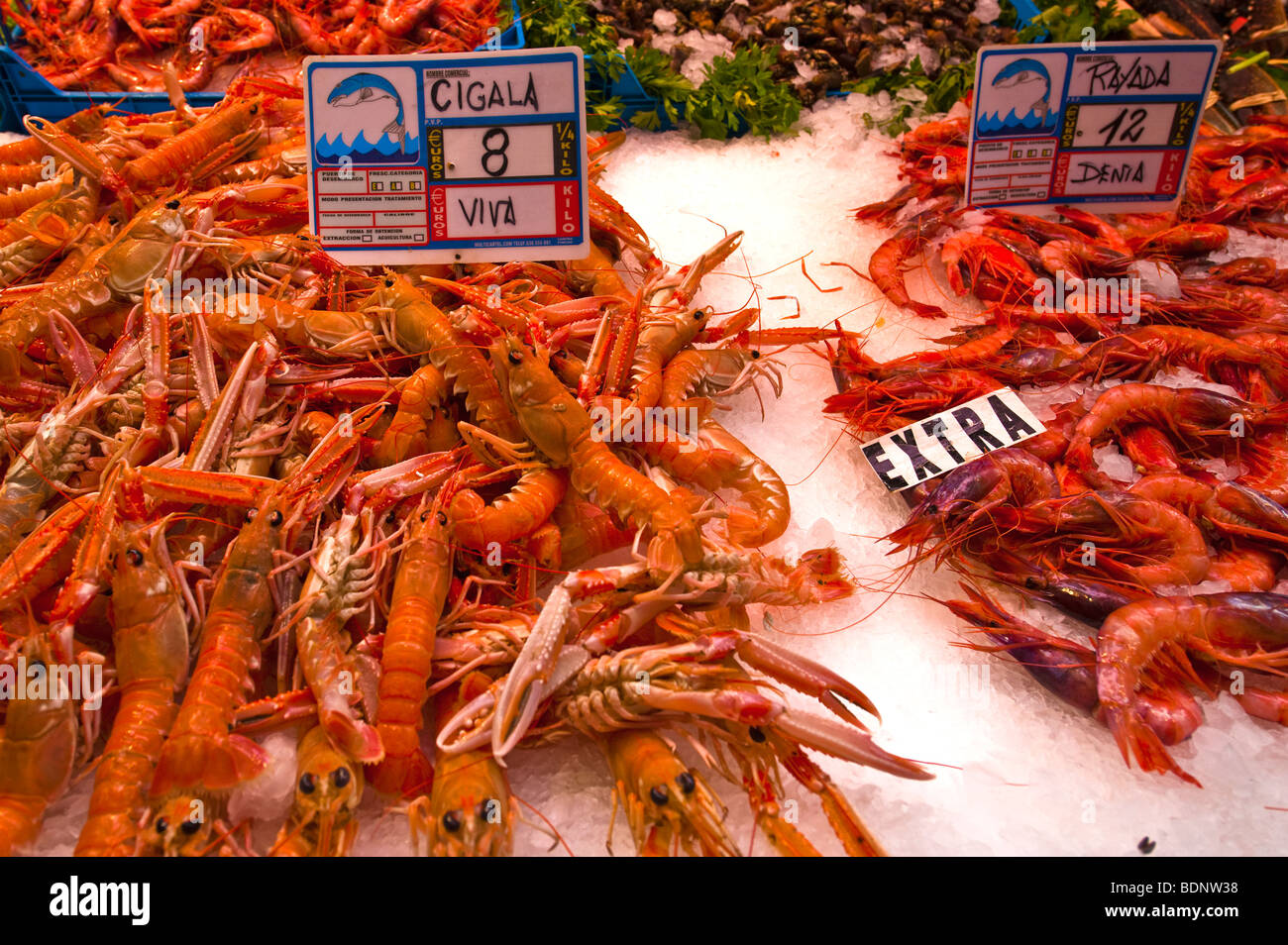 Crayfish market hi-res stock photography and images - Alamy