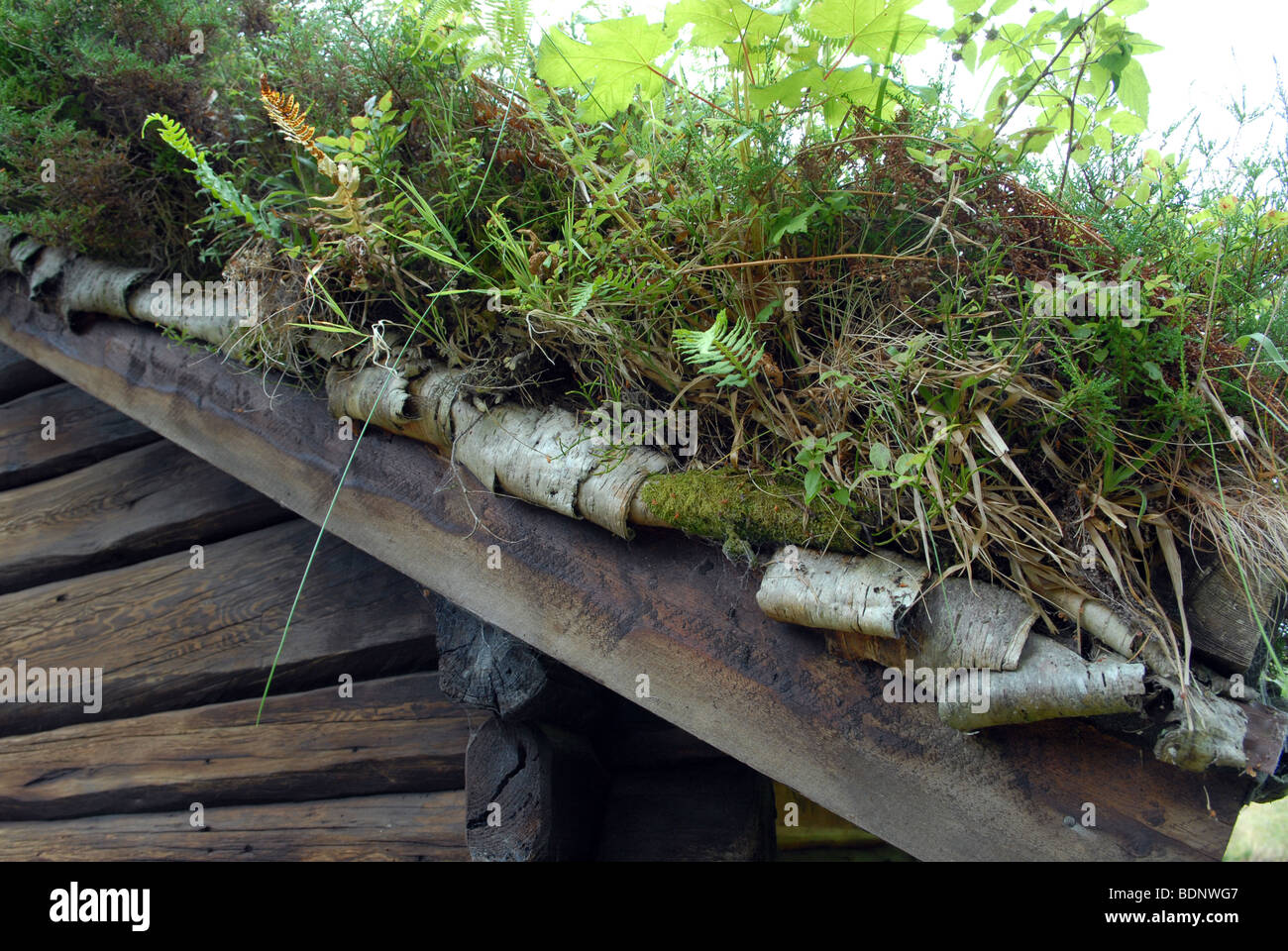 Norway grass roof hi-res stock photography and images - Alamy