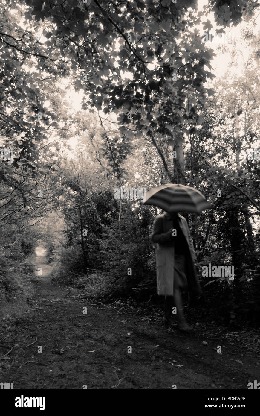woman walking in the rain in the countryside in England Stock Photo - Alamy