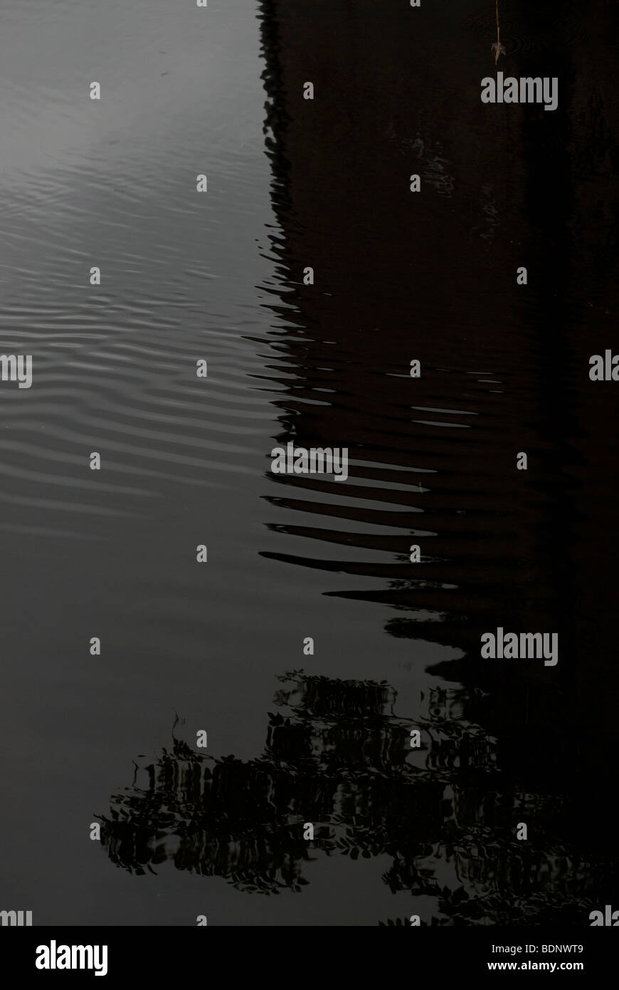 tree shadow on water Stock Photo - Alamy