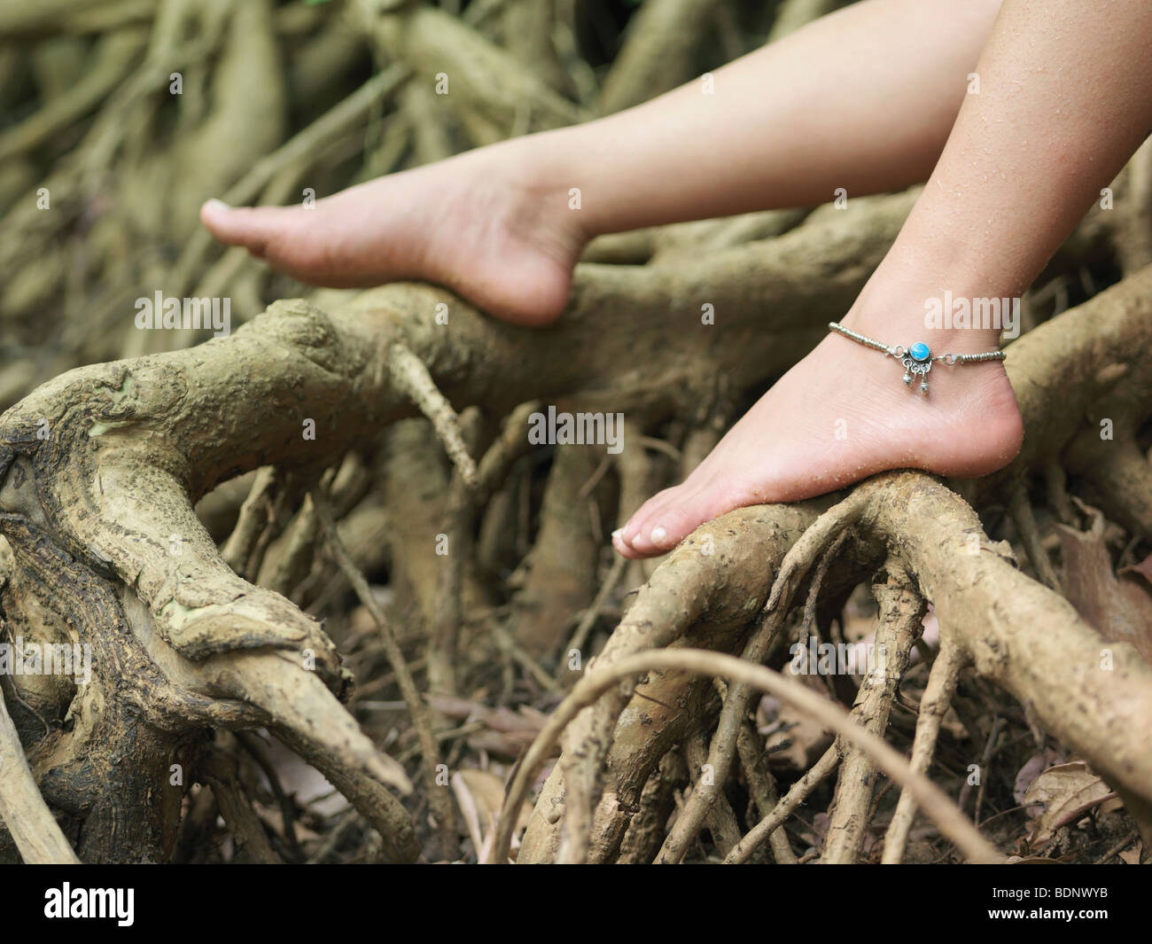 Young woman sitting on tree roots, close-up on foot Stock Photo - Alamy