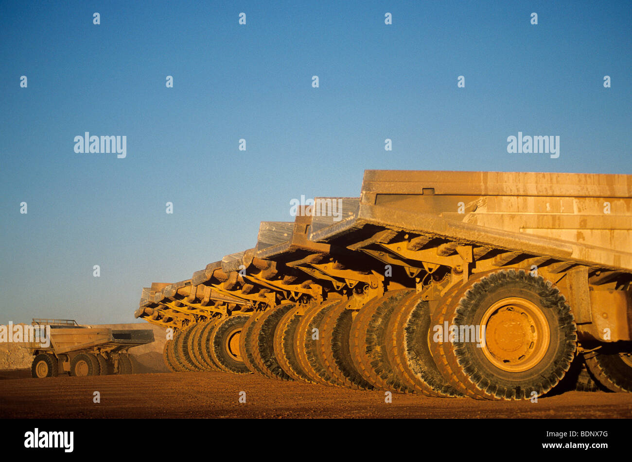 Ore hauling trucks in row, Telfer, Western Australia Stock Photo - Alamy