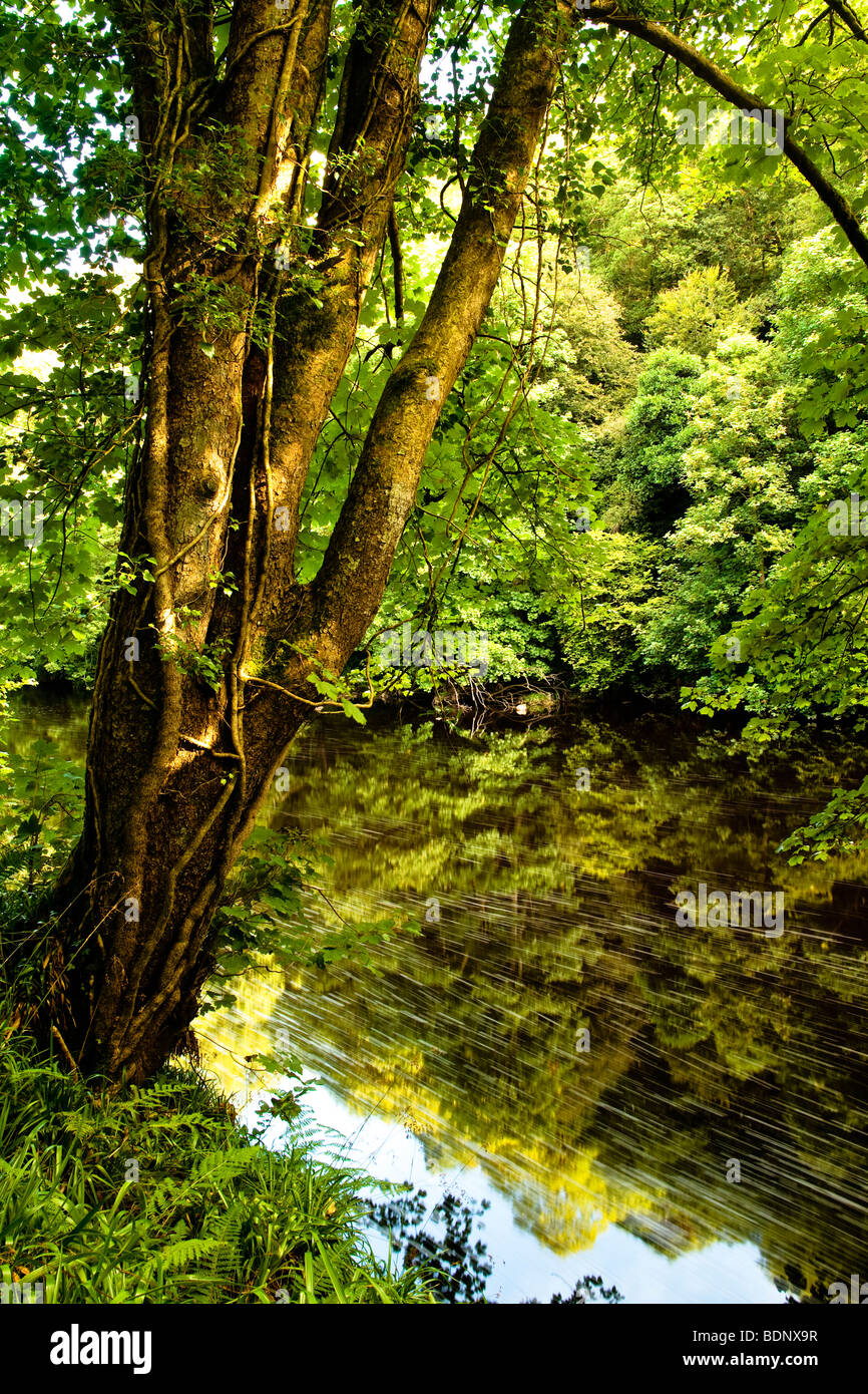 Failford hi-res stock photography and images - Alamy