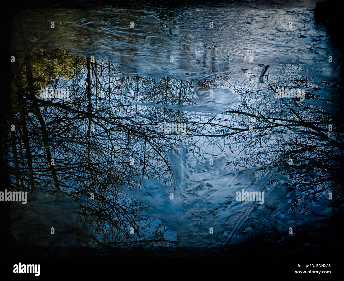 Reflections in the pond hi-res stock photography and images - Alamy