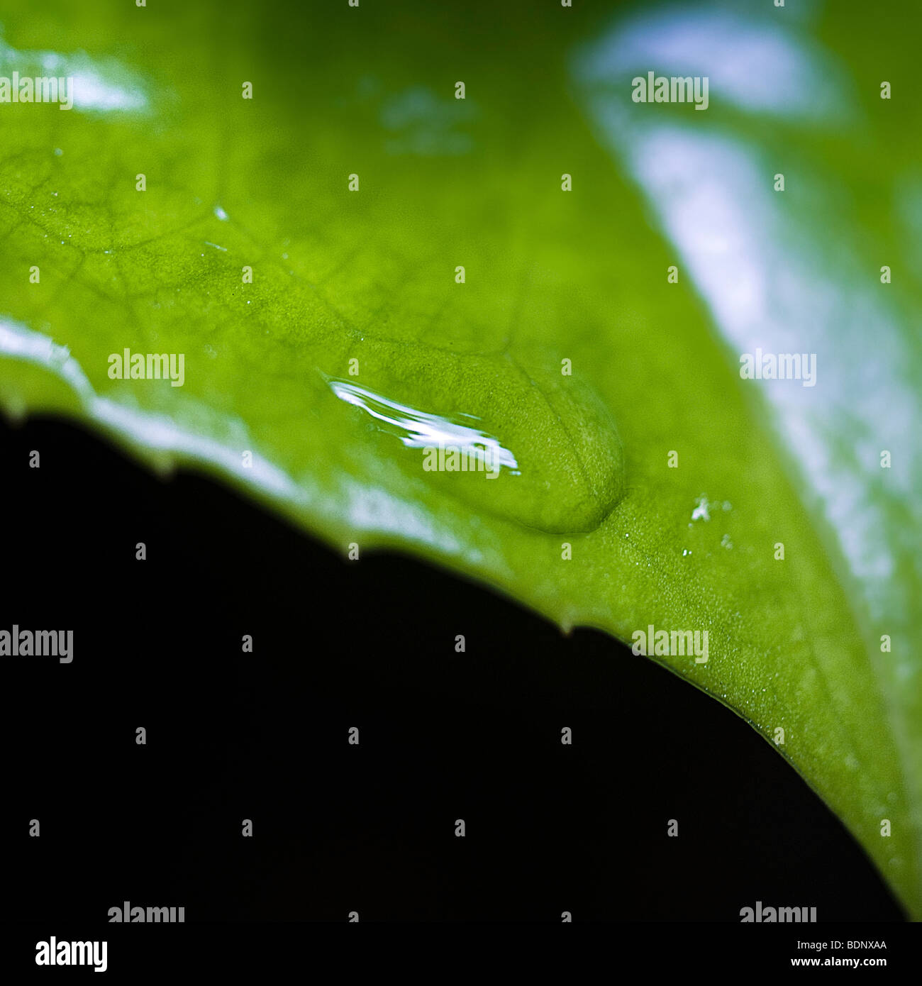 Drip edge hi-res stock photography and images - Alamy