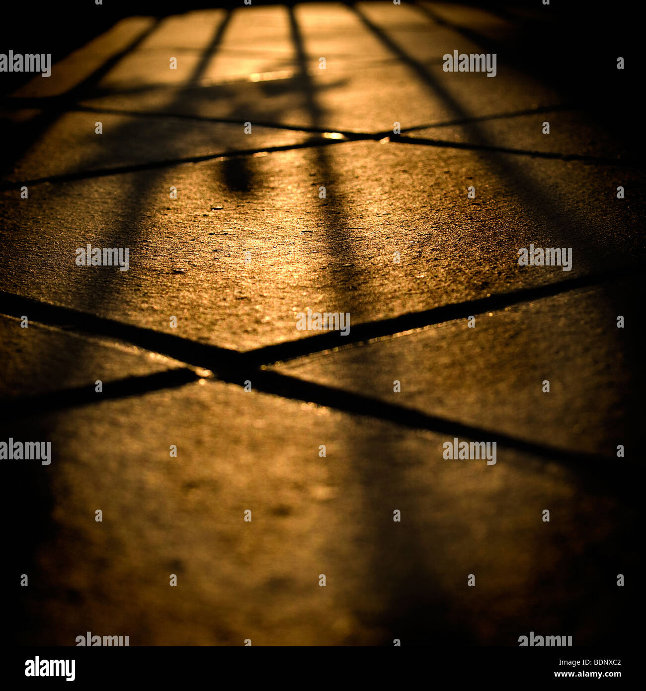 Shadows on floor tiles Stock Photo - Alamy