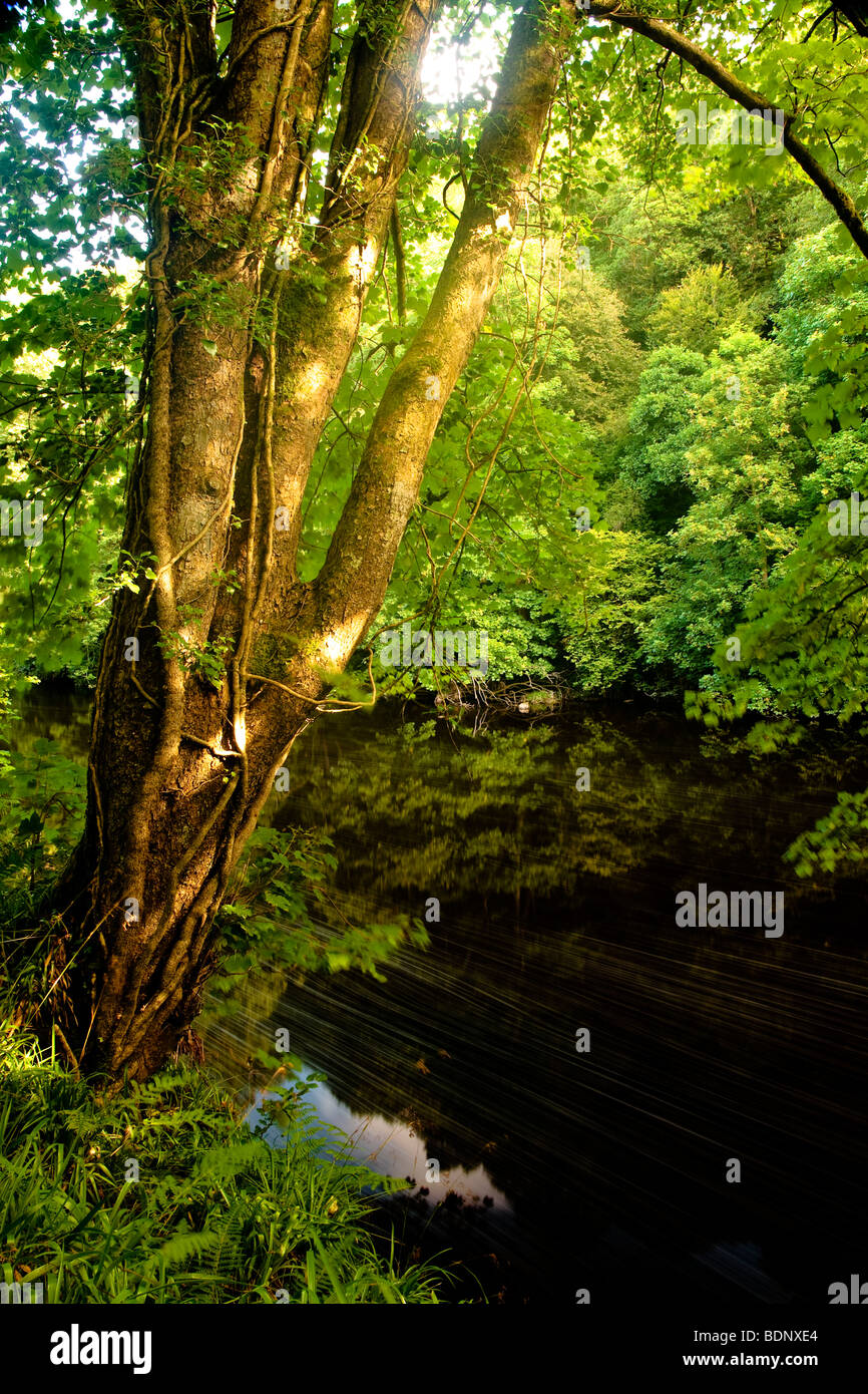 River ayr failford hi-res stock photography and images - Alamy