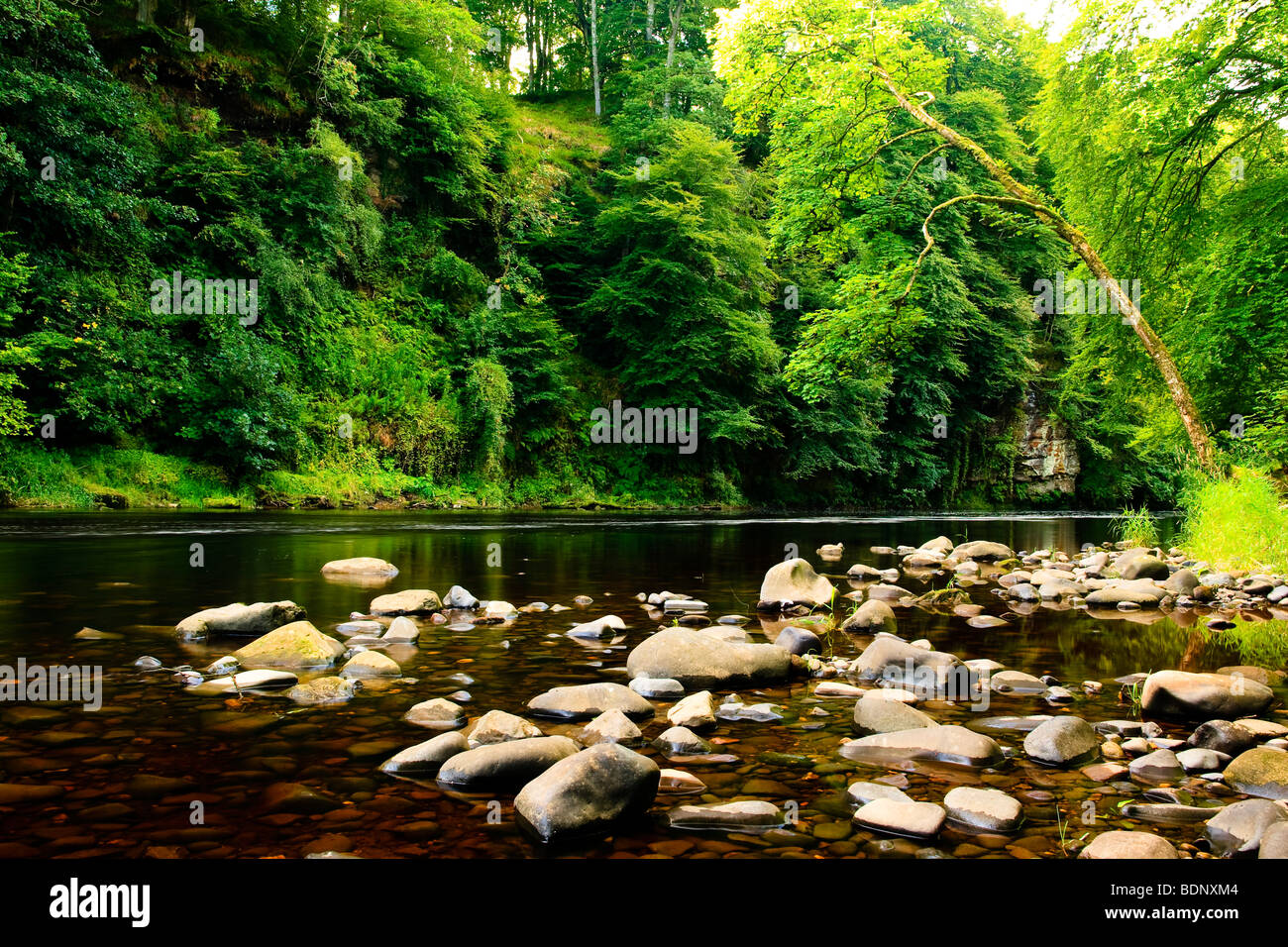 Failford hi-res stock photography and images - Alamy