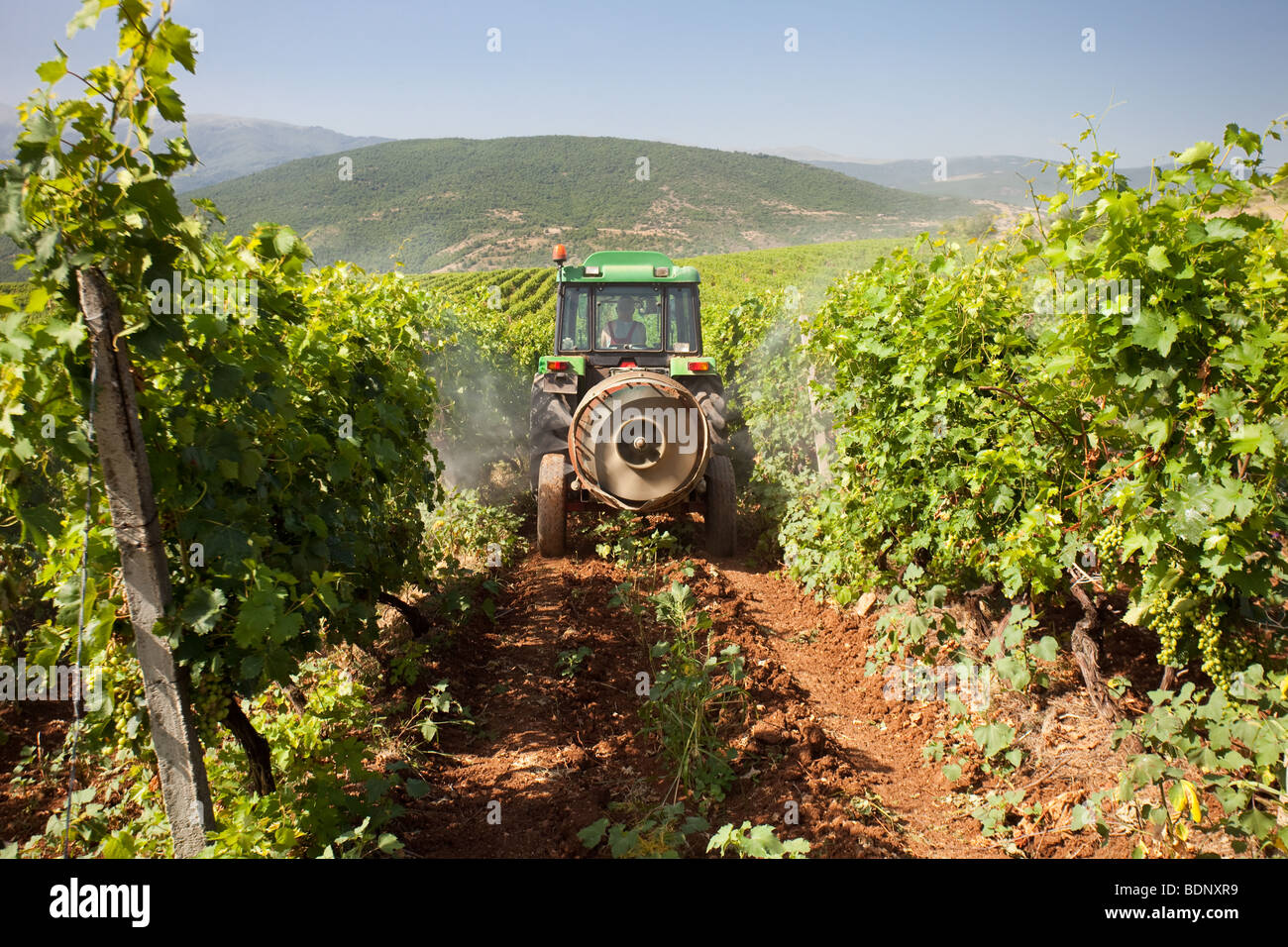 Vineyard spraying organic hi-res stock photography and images - Alamy