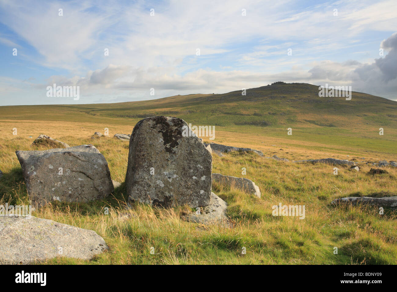 Yes Tor (619 Metres), one of Dartmoor's highest peaks, viewed from West ...