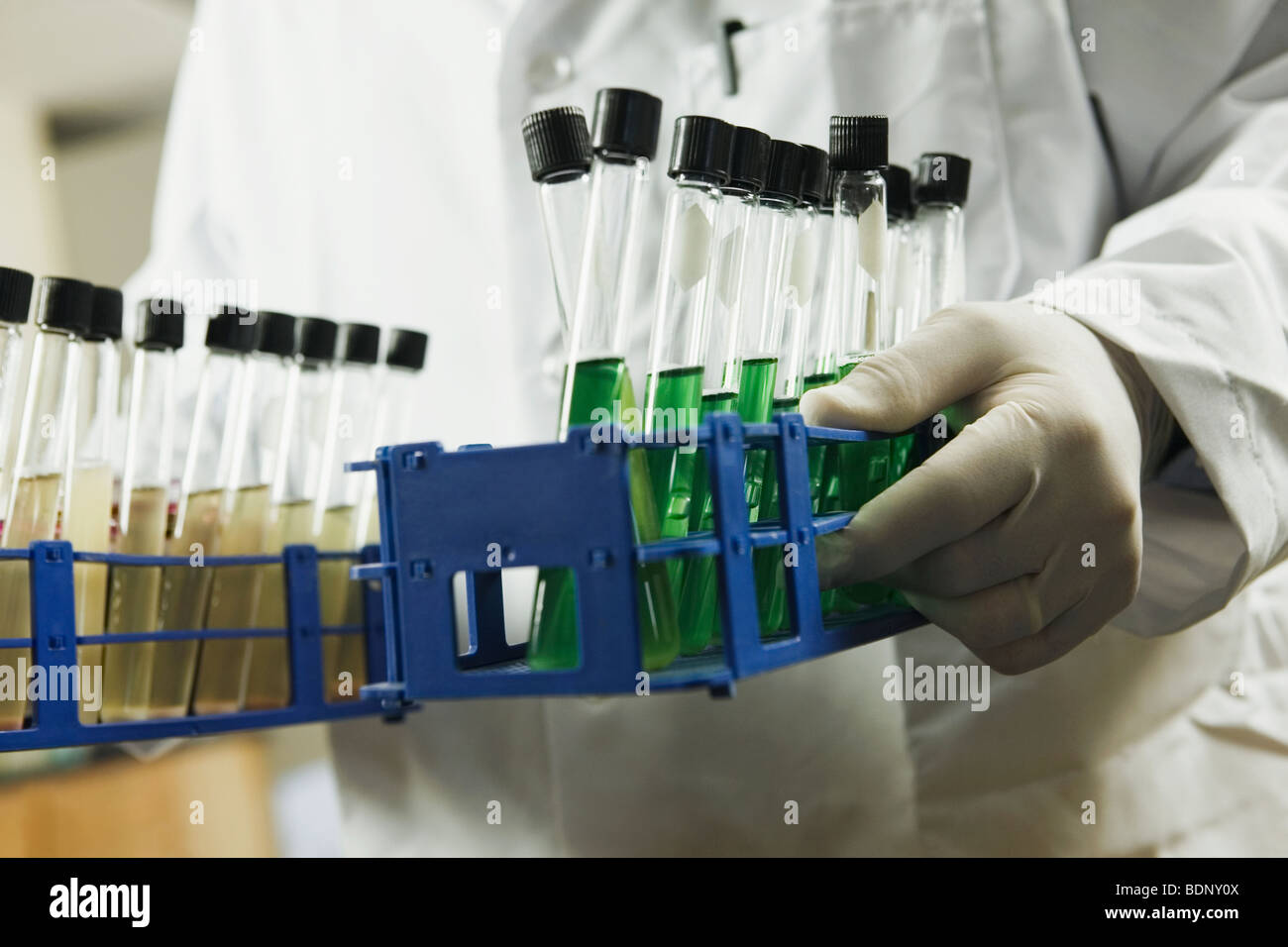 Experiment test tubes racks hi-res stock photography and images - Alamy