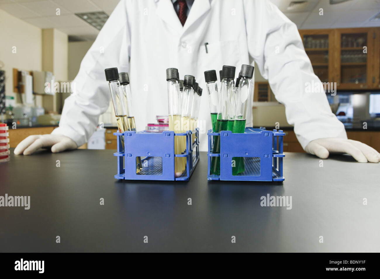 Scientist standing in a laboratory Stock Photo - Alamy
