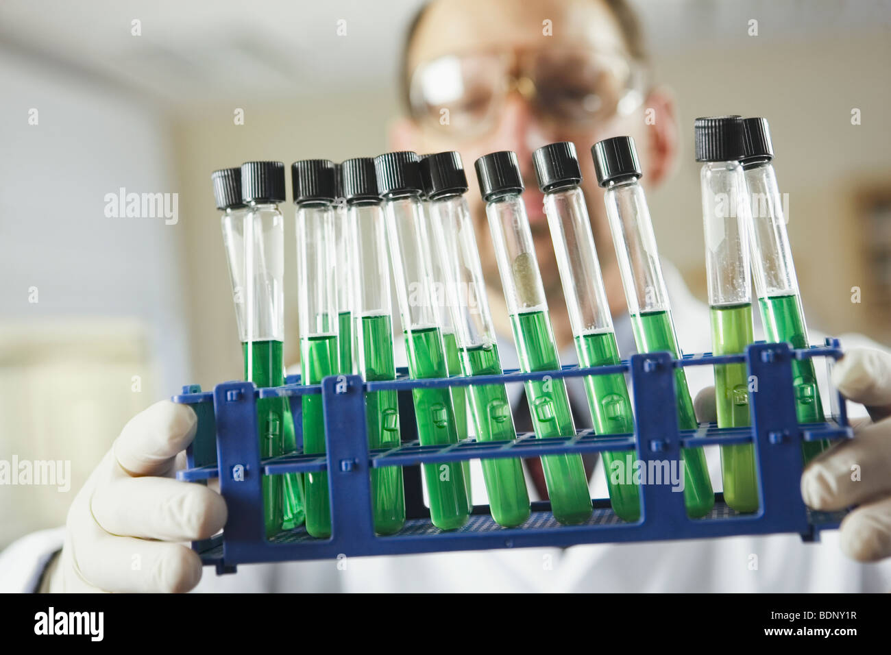 Technician test tubes testing hi-res stock photography and images - Alamy