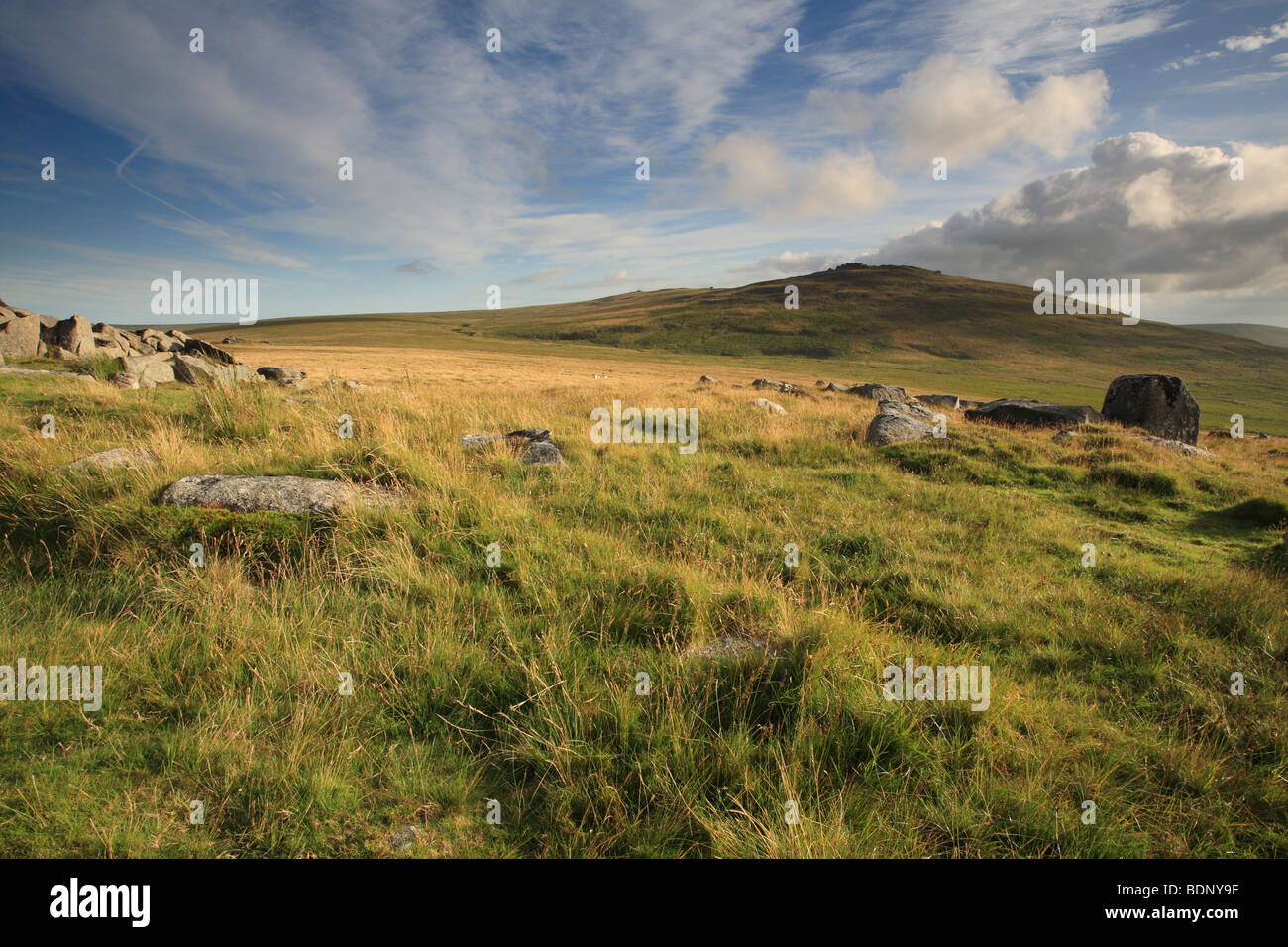 Yes Tor (619 Metres), one of Dartmoor's highest peaks, viewed from West ...