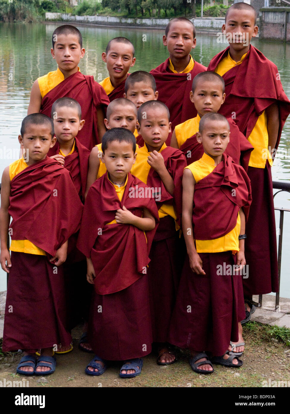 A group of novice Buddhist boy monks in Rewalsar. Rewalsar. Himachal ...