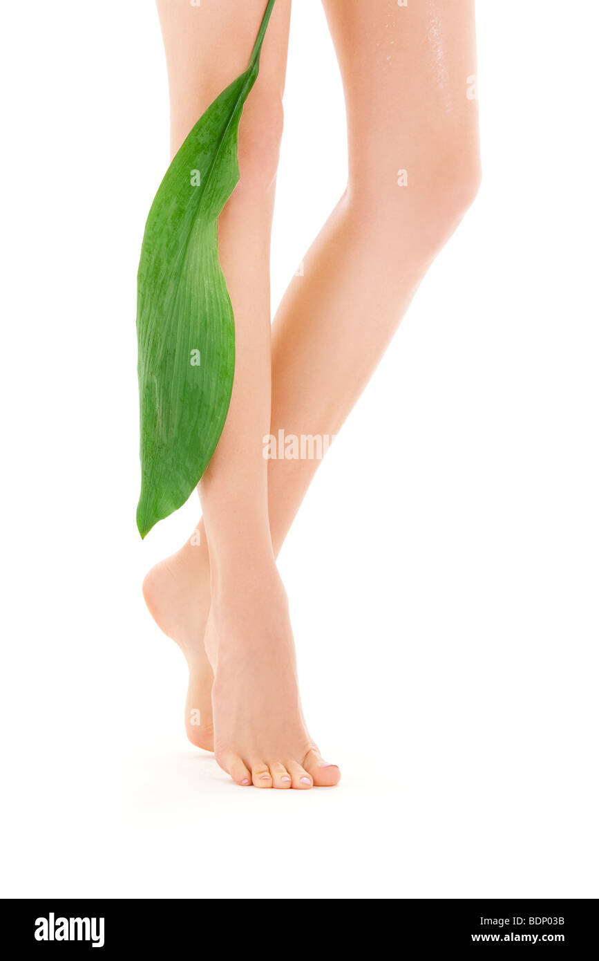 picture of female legs with green leaf over white Stock Photo - Alamy