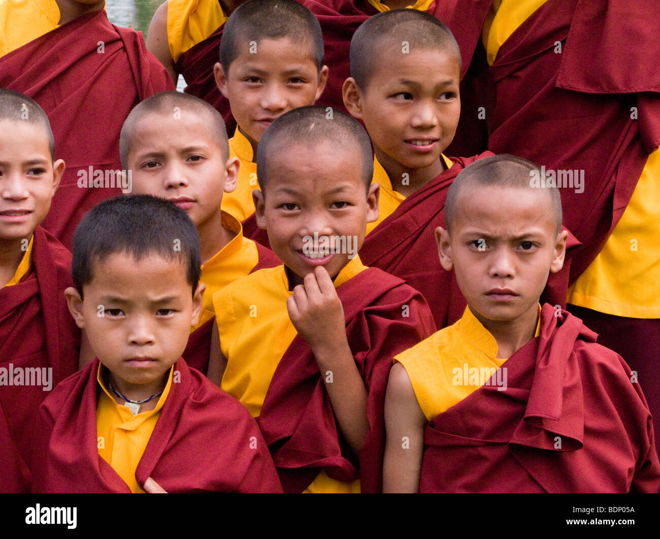 A group of novice Buddhist boy monks in Rewalsar. Rewalsar. Himachal ...