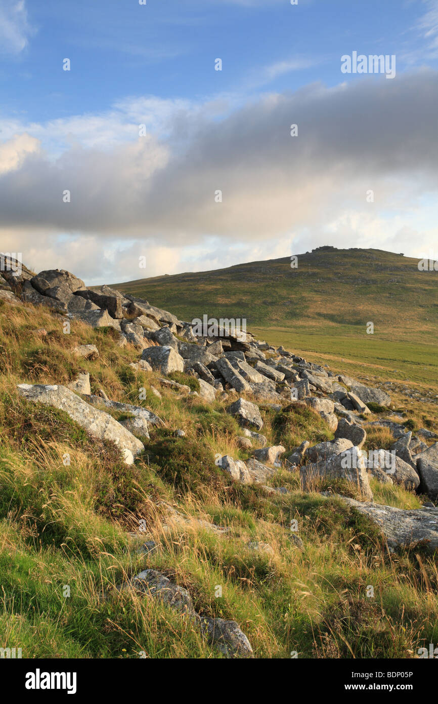Yes Tor (619 Metres), one of Dartmoor's highest peaks, viewed from West ...