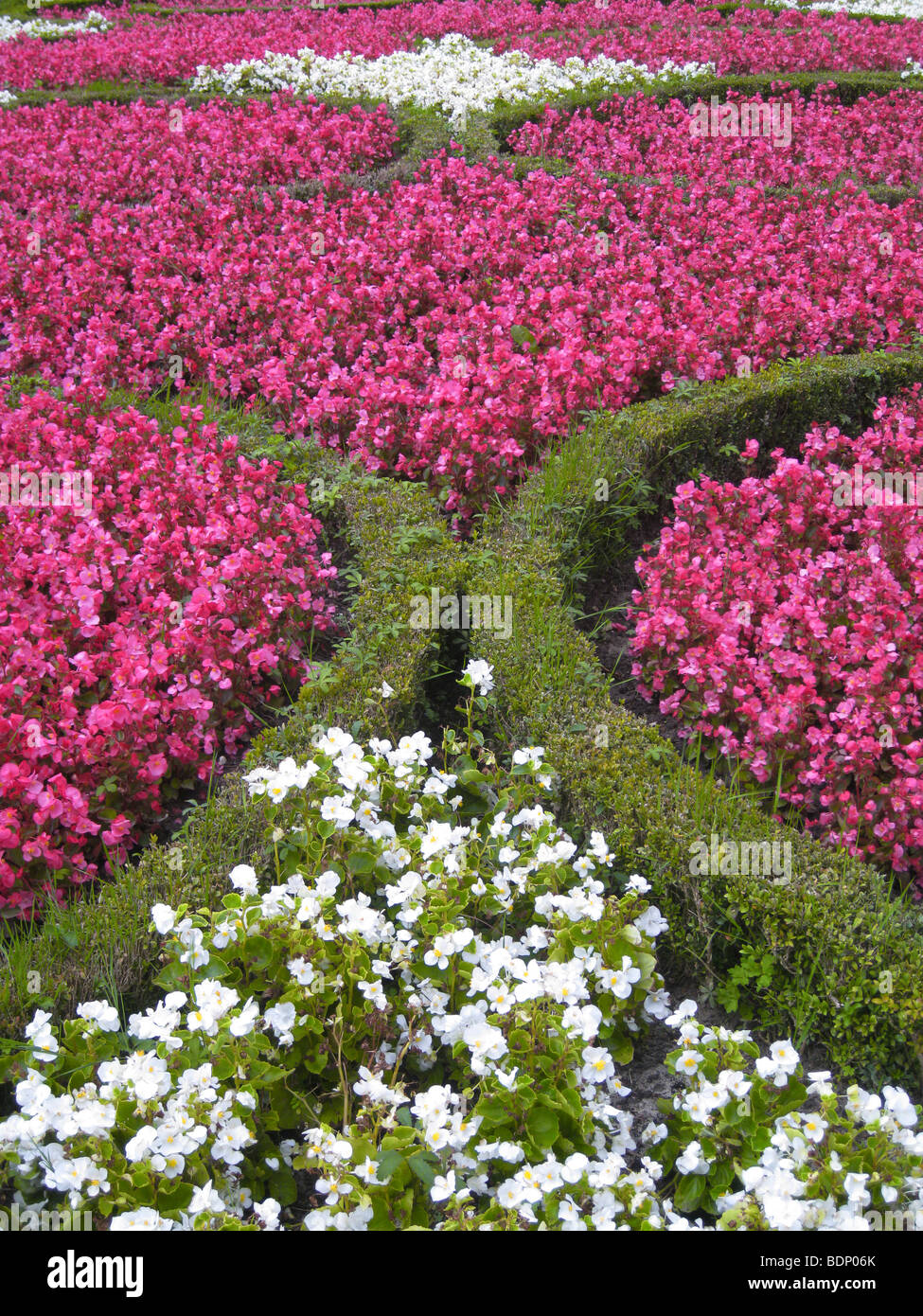 Bloom of garden hi-res stock photography and images - Alamy