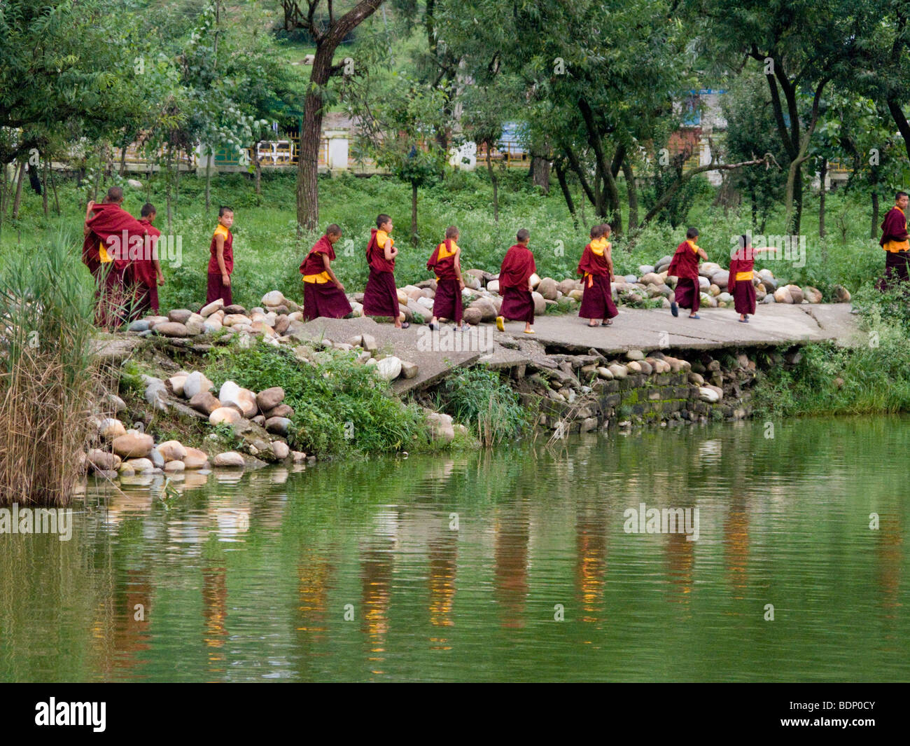Novice Buddhist monks walk around Rewalsar lake on a footpath that has ...