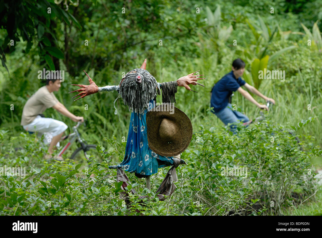 bicyclers and scarecrow on ubin palau island near singapore Stock Photo ...