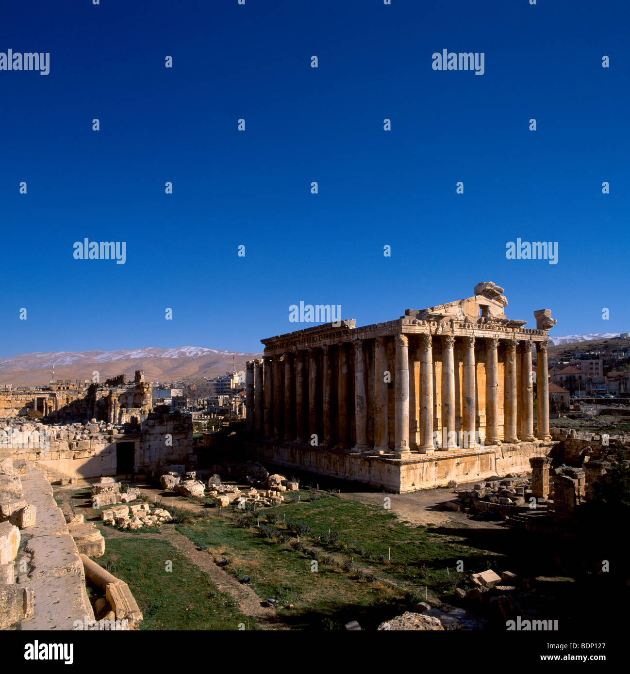 Baalbek Lebanon Temple Of Bacchus Stock Photo - Alamy