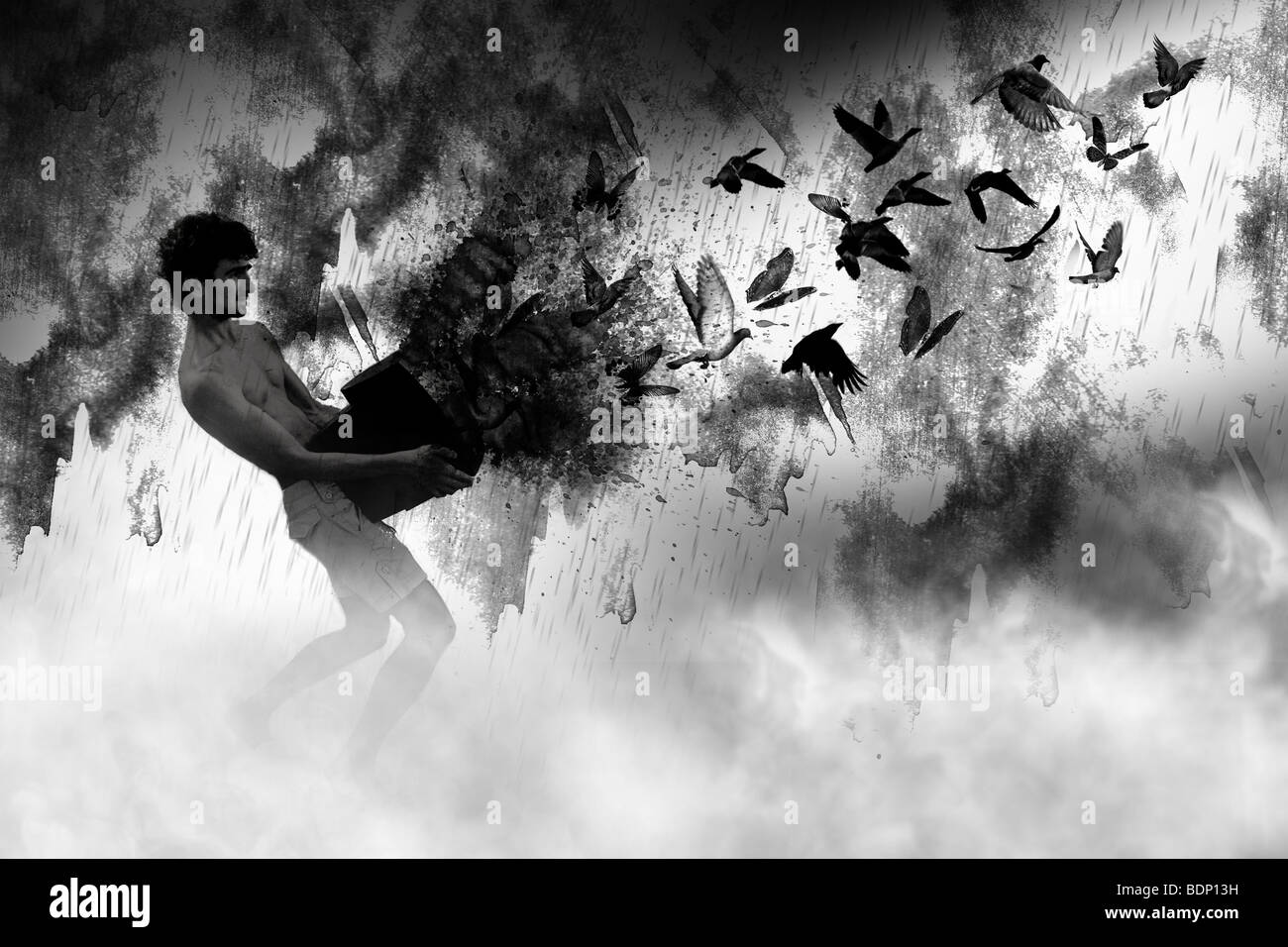 Young pidgeon Black and White Stock Photos & Images - Alamy