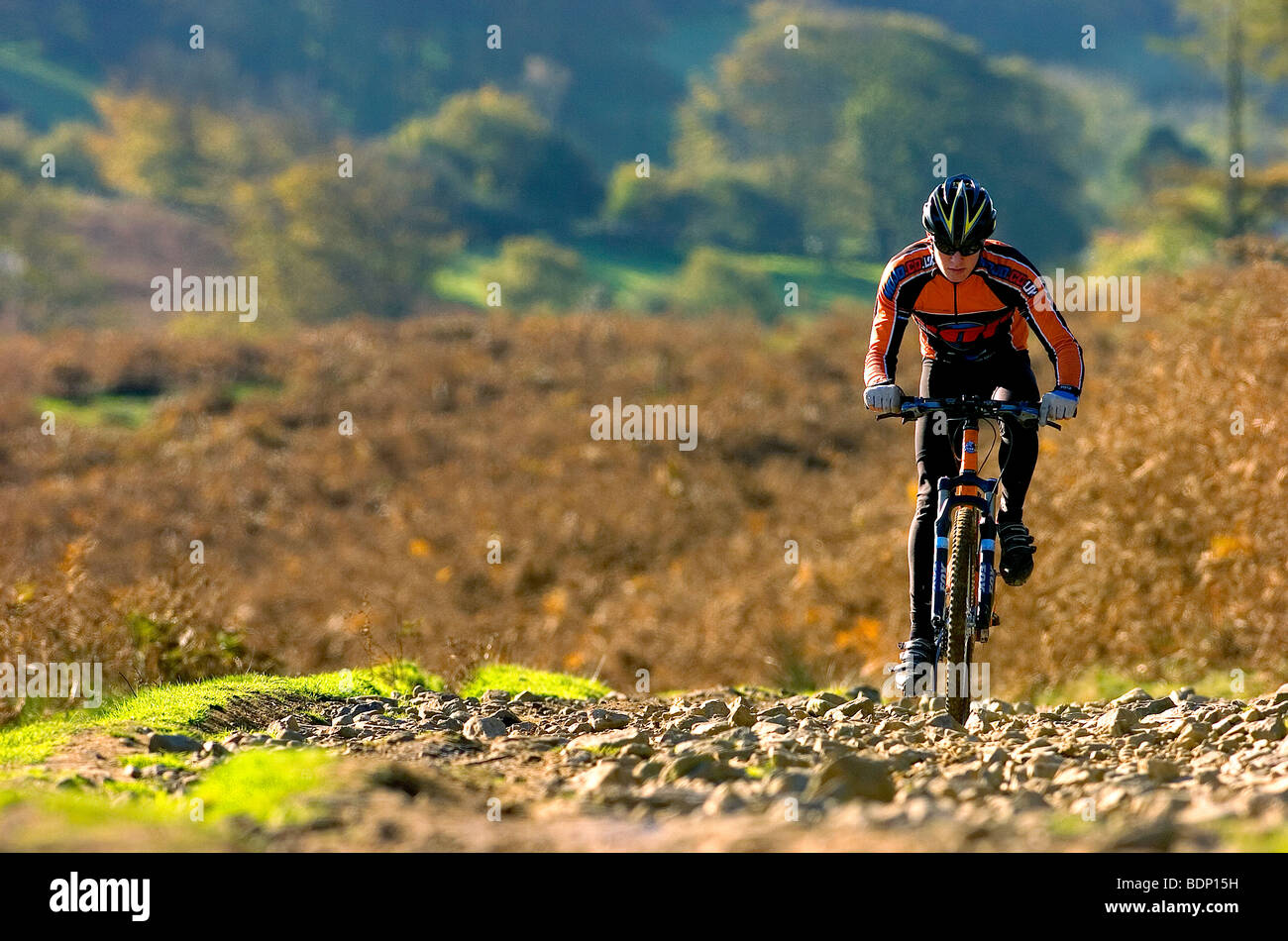 A cross country mountain biker climbs a rocky trail near Cwmcarn in ...