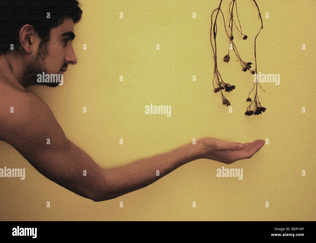 An unshaven male figure reaching out towards a small plant Stock Photo ...