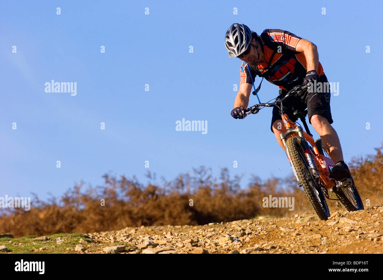Cwmcarn bike trail hi-res stock photography and images - Alamy