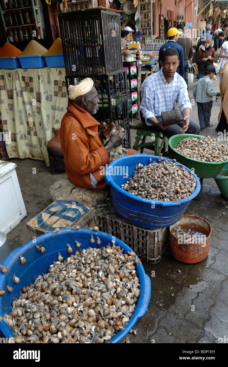Snail Sellers with Bowls Full of Live Snails, Marrakesh, Morocco Stock ...