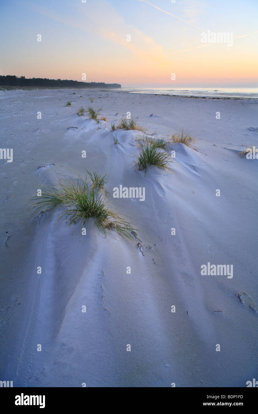 Sand dunes, Dueodde, Bornholm, Denmark, Europe Stock Photo - Alamy