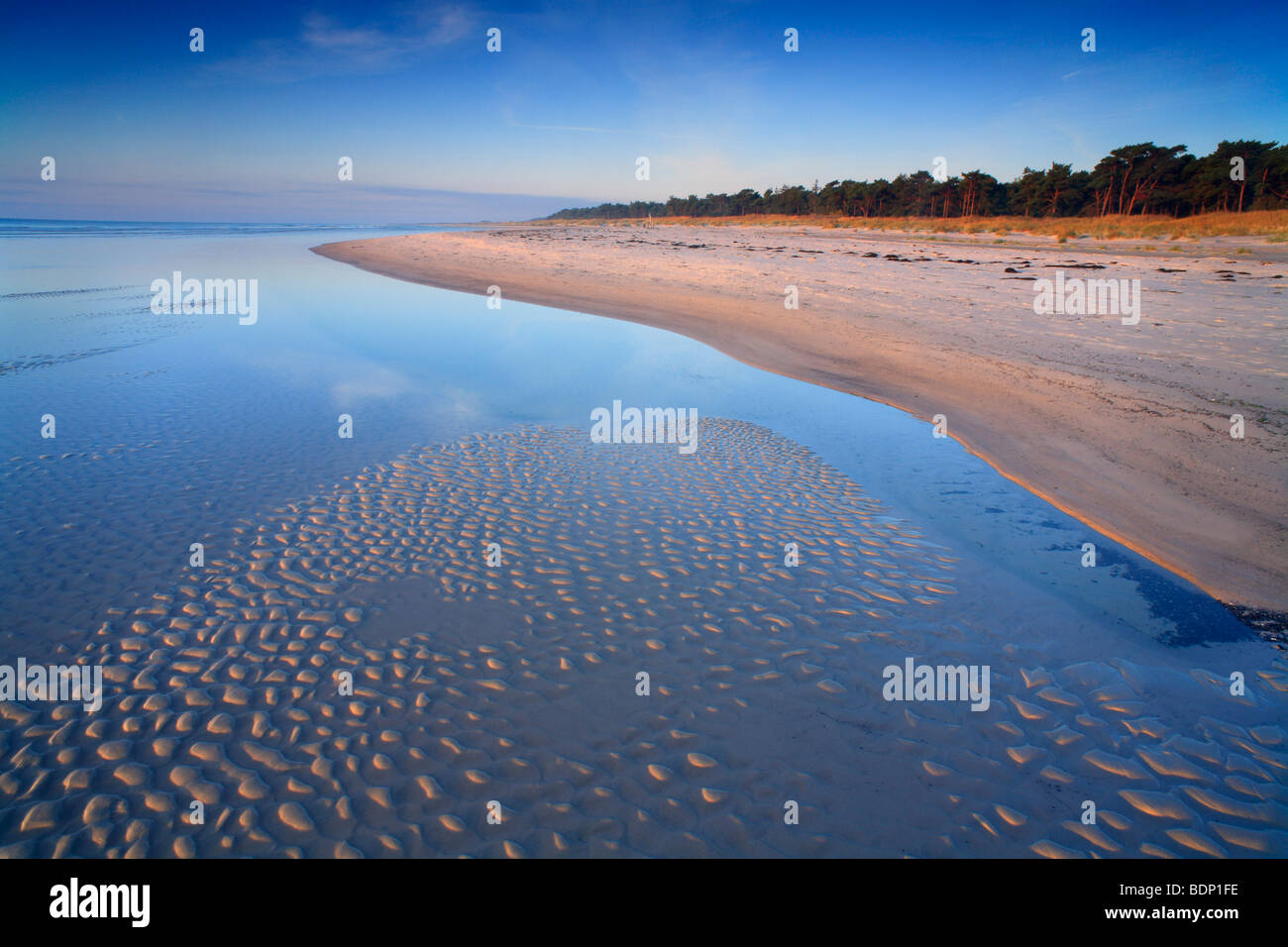 Dueodde beach hi-res stock photography and images - Alamy