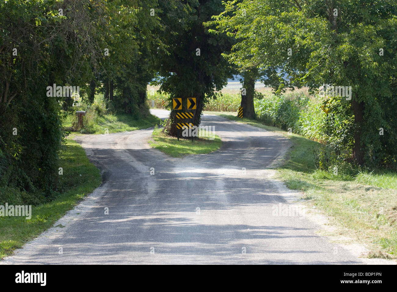 Tree in the road Stock Photo - Alamy
