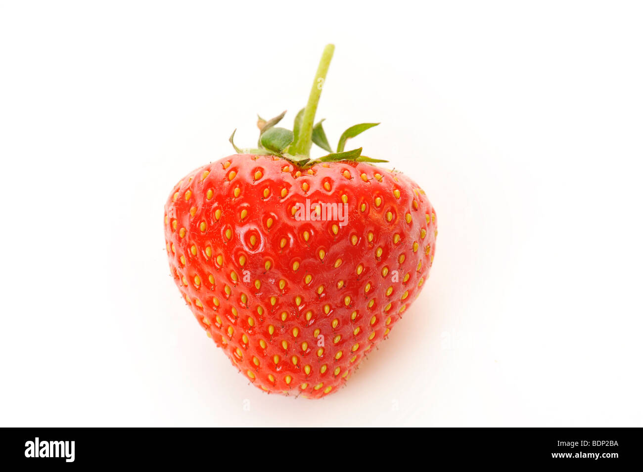 Fragaria strawberry hi-res stock photography and images - Alamy