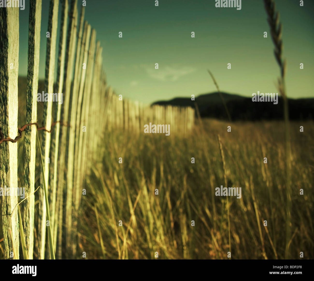 A fence in a grass field Stock Photo - Alamy