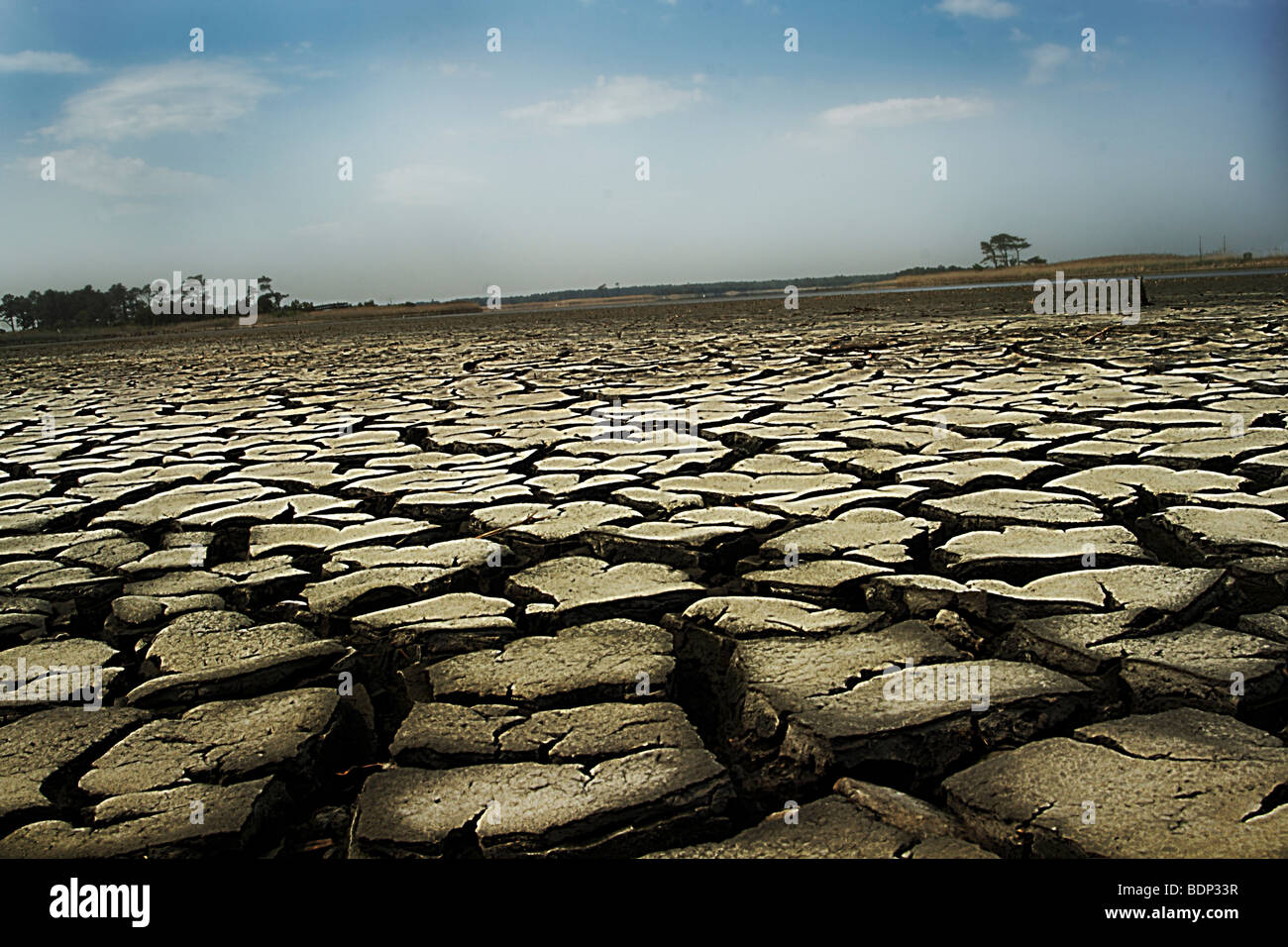 Dry cracked river bed Stock Photo - Alamy