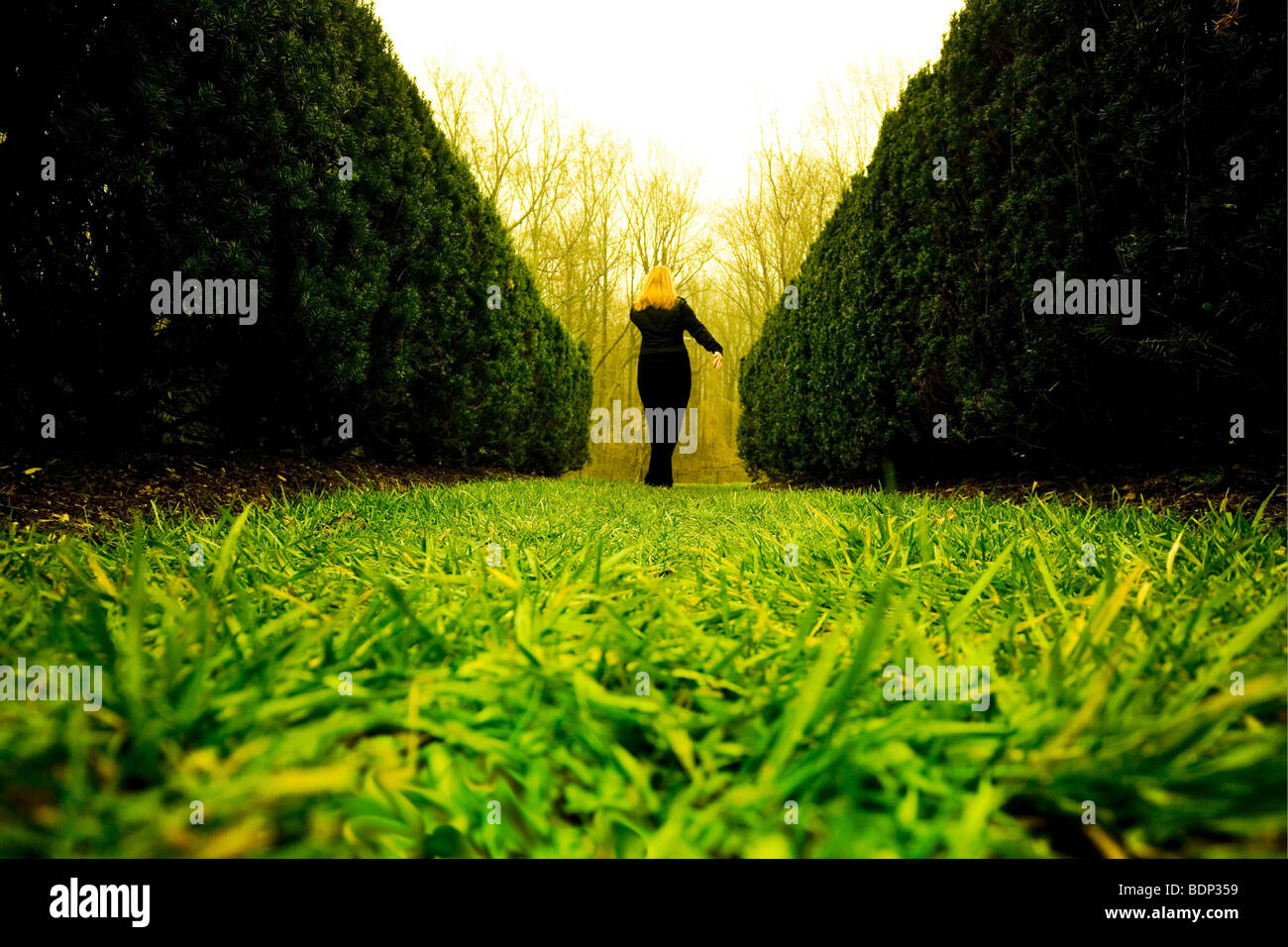 A young woman with red hair standing between two hedges Stock Photo - Alamy