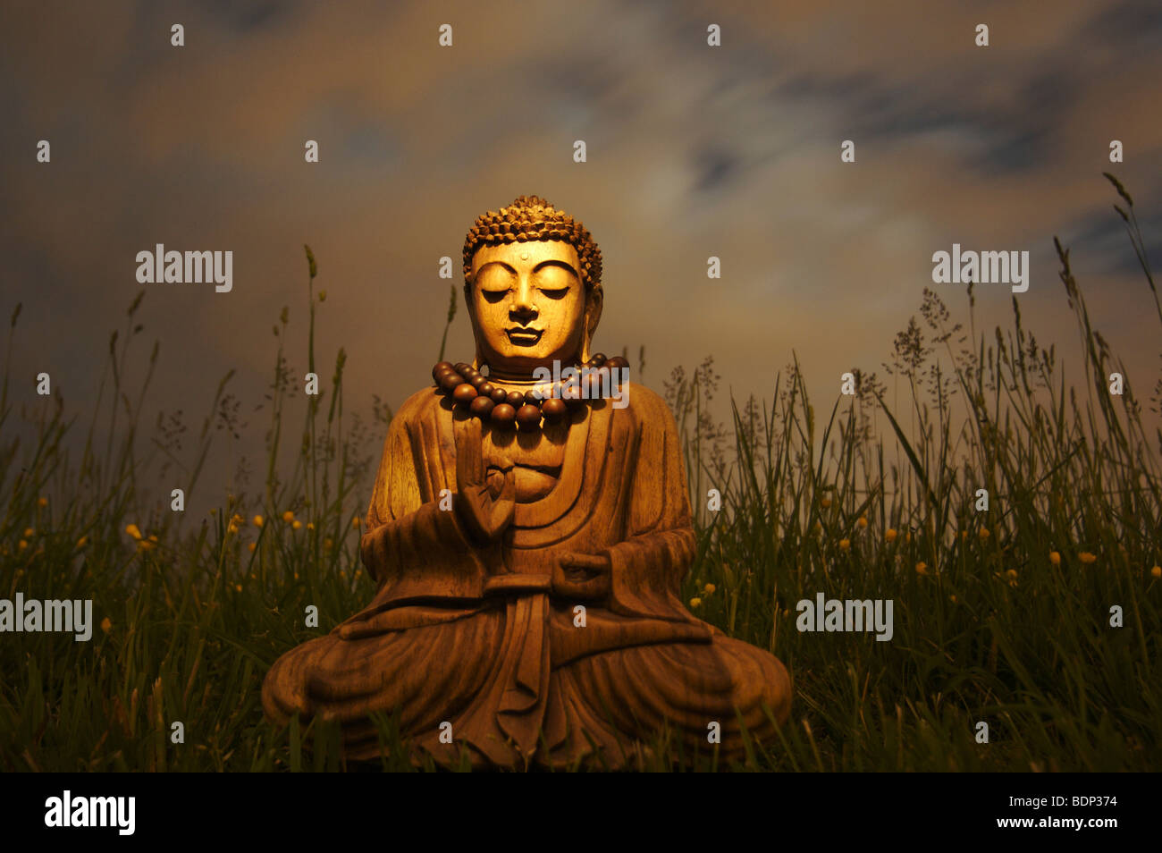 A bhudda in long grass Stock Photo - Alamy