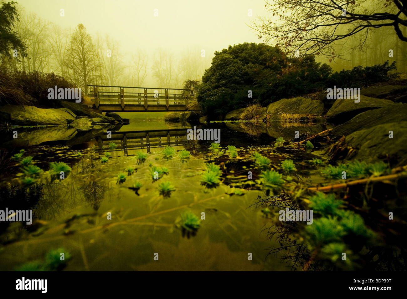 A lake with wooden bride Stock Photo - Alamy