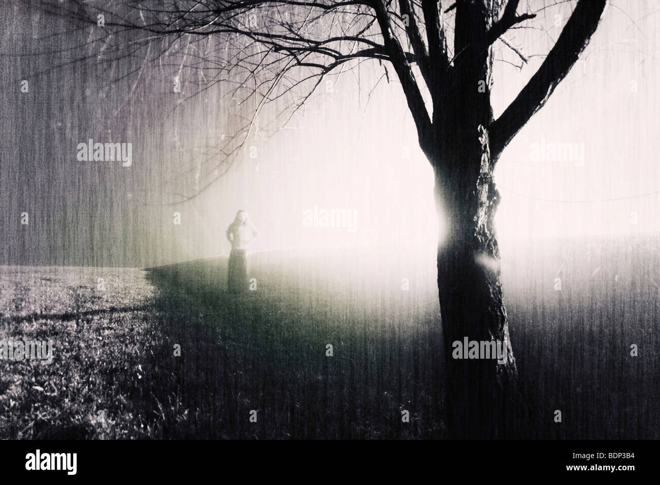 A woman standing in the mist behind a bare tree Stock Photo - Alamy