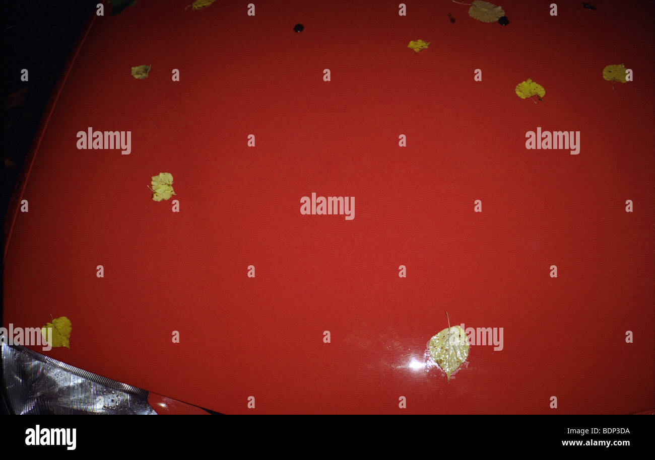 The red bonnet of a car with leaves Stock Photo - Alamy