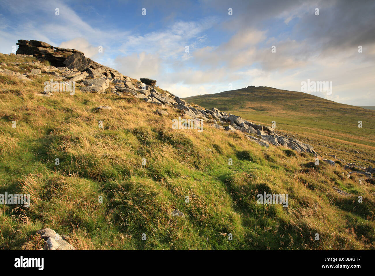 Yes tor hi-res stock photography and images - Alamy